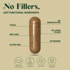 Alpha Focus multivitamin for women wellness