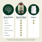 Alpha Focus whole food multivitamin benefits