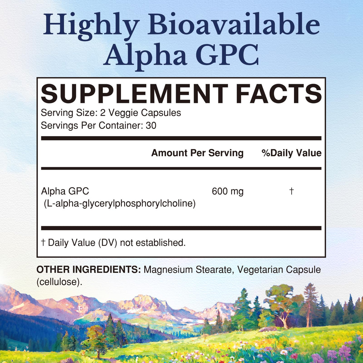 Alpha GPC 600 mg brain health