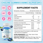 Alpha GPC choline supplement benefits