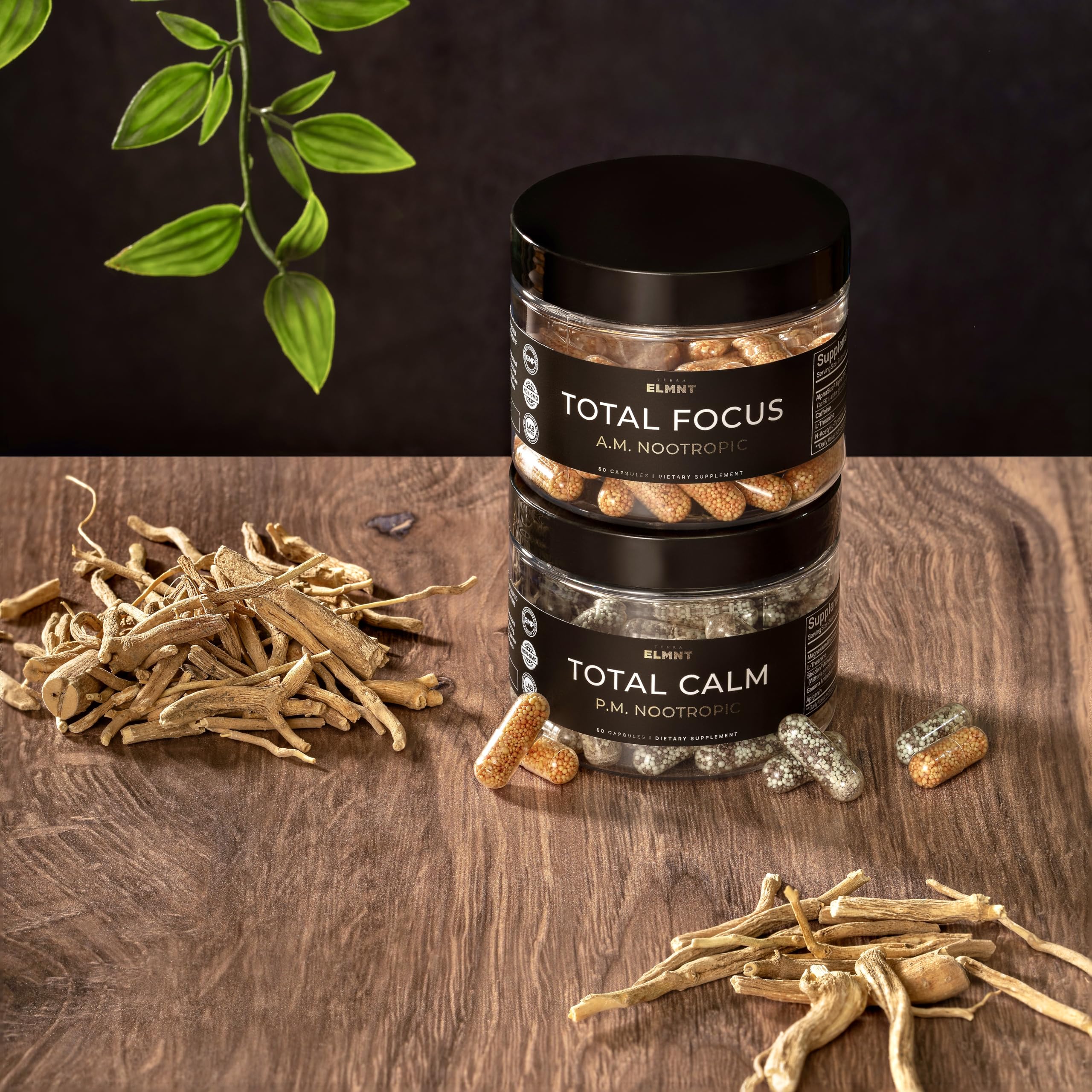 Alpha GPC cognitive support vitamins