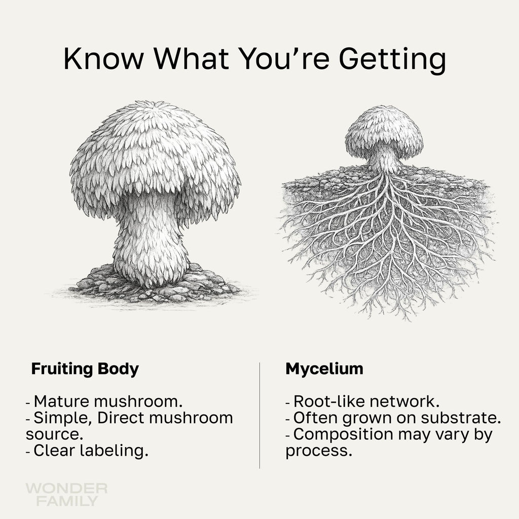 alpha GPC enhanced mushroom supplement