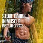 ALPHA LION fat burners with natural ingredients