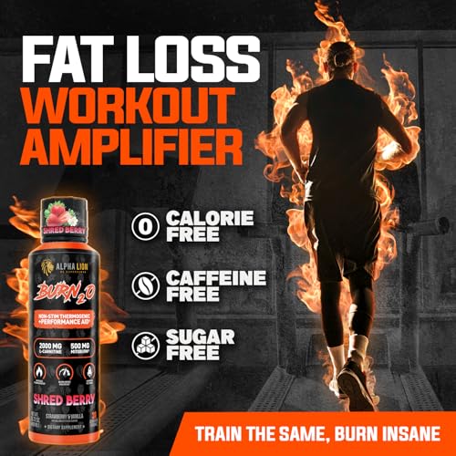 ALPHA LION L-Carnitine 2000 mg