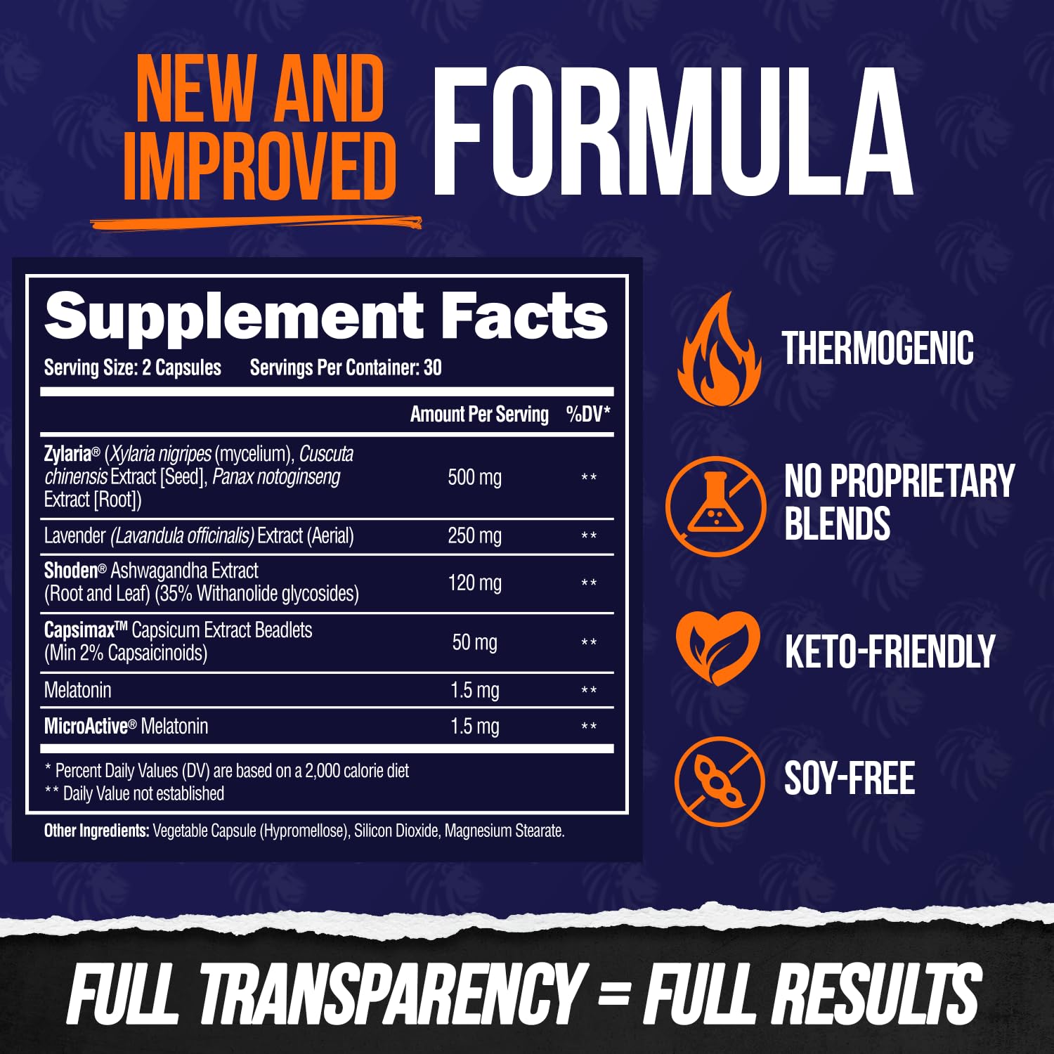 ALPHA LION Night Burn capsules for energy boost
