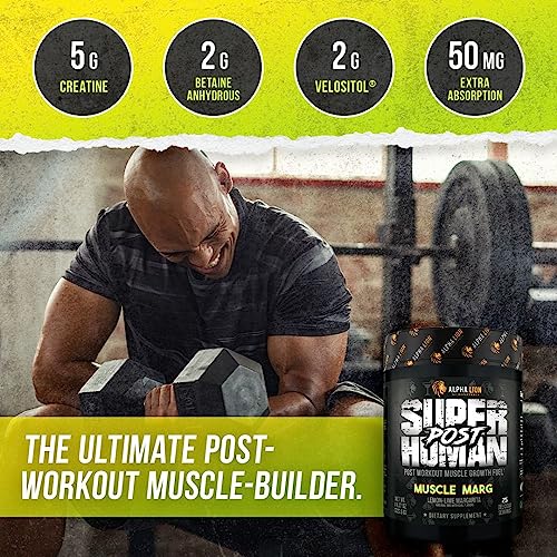 Alpha Lion protein powder for energy boost