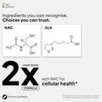 Alpha Lipoic Acid antioxidant properties