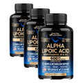 alpha lipoic acid antioxidant support