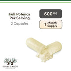 alpha lipoic acid for energy metabolism