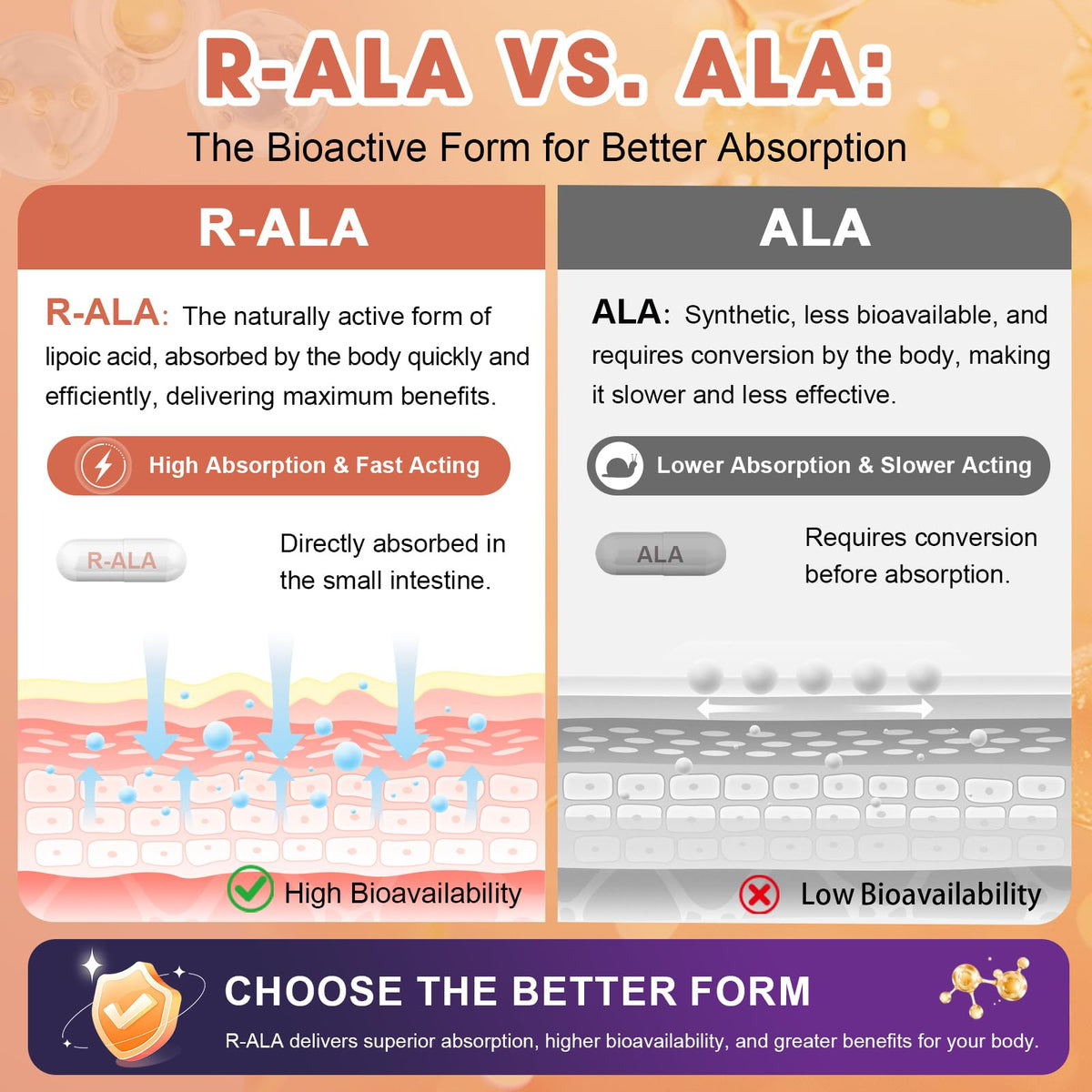 Alpha Lipoic Acid for energy support