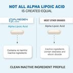 alpha lipoic acid for energy support