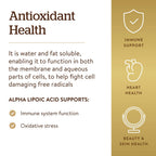 alpha lipoic acid for energy