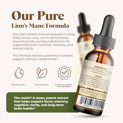 Amazing Botanicals Lion's Mane supplement
