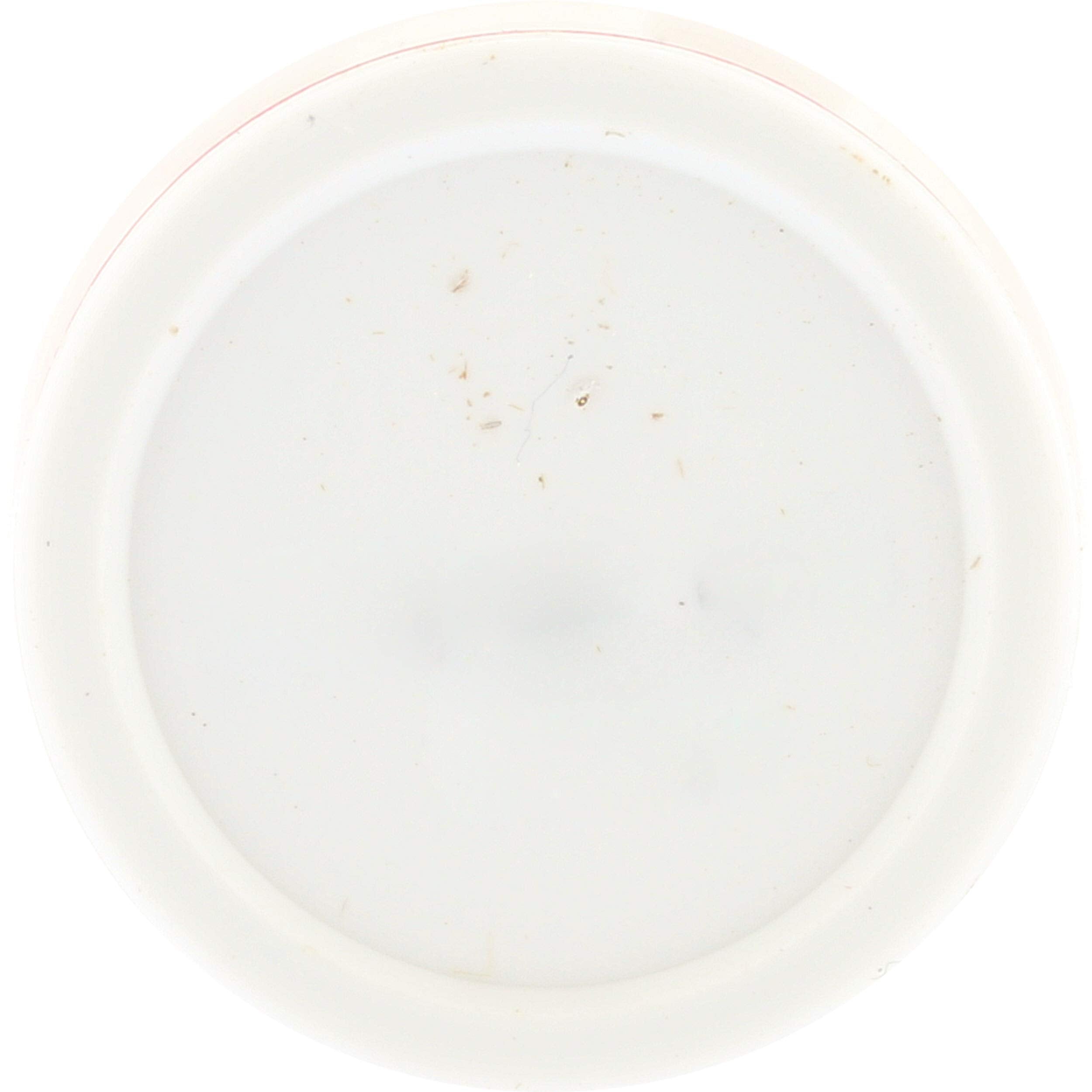 Amazing Grass Berry drink tabs for detox