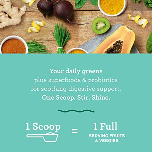 Amazing Grass green superfood benefits