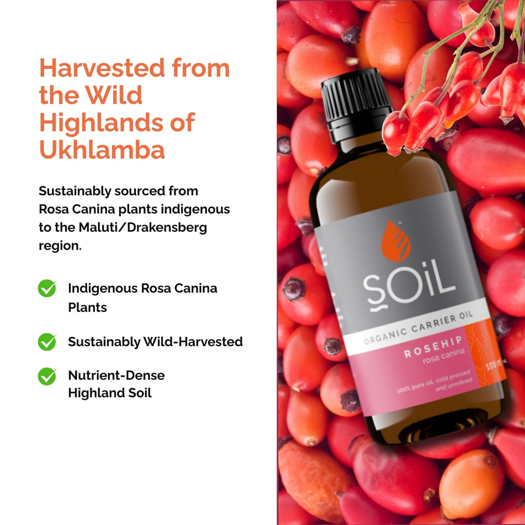 amber glass bottle rosehip oil