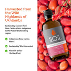 amber glass bottle rosehip oil