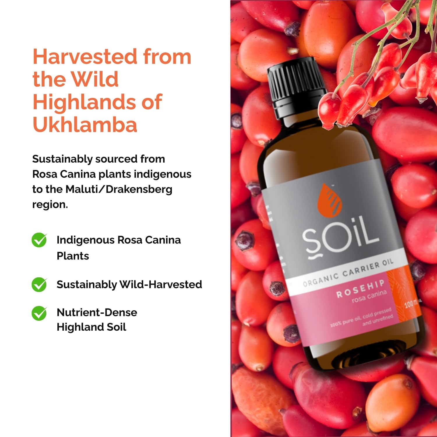 amber glass bottle rosehip oil
