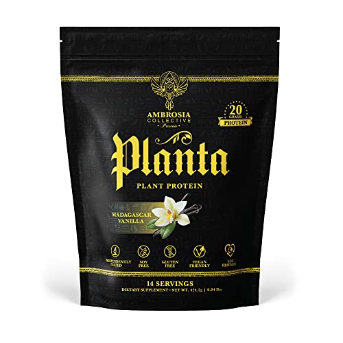 Ambrosia plant based protein powder