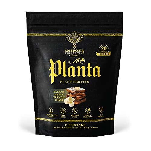 Ambrosia plant protein powder banana