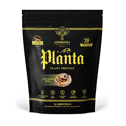 Ambrosia plant protein powder cinnamon roll