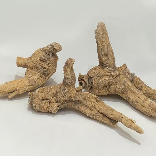 American ginseng for revitalizing energy