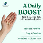 American Standard digestive enzymes for daily wellness
