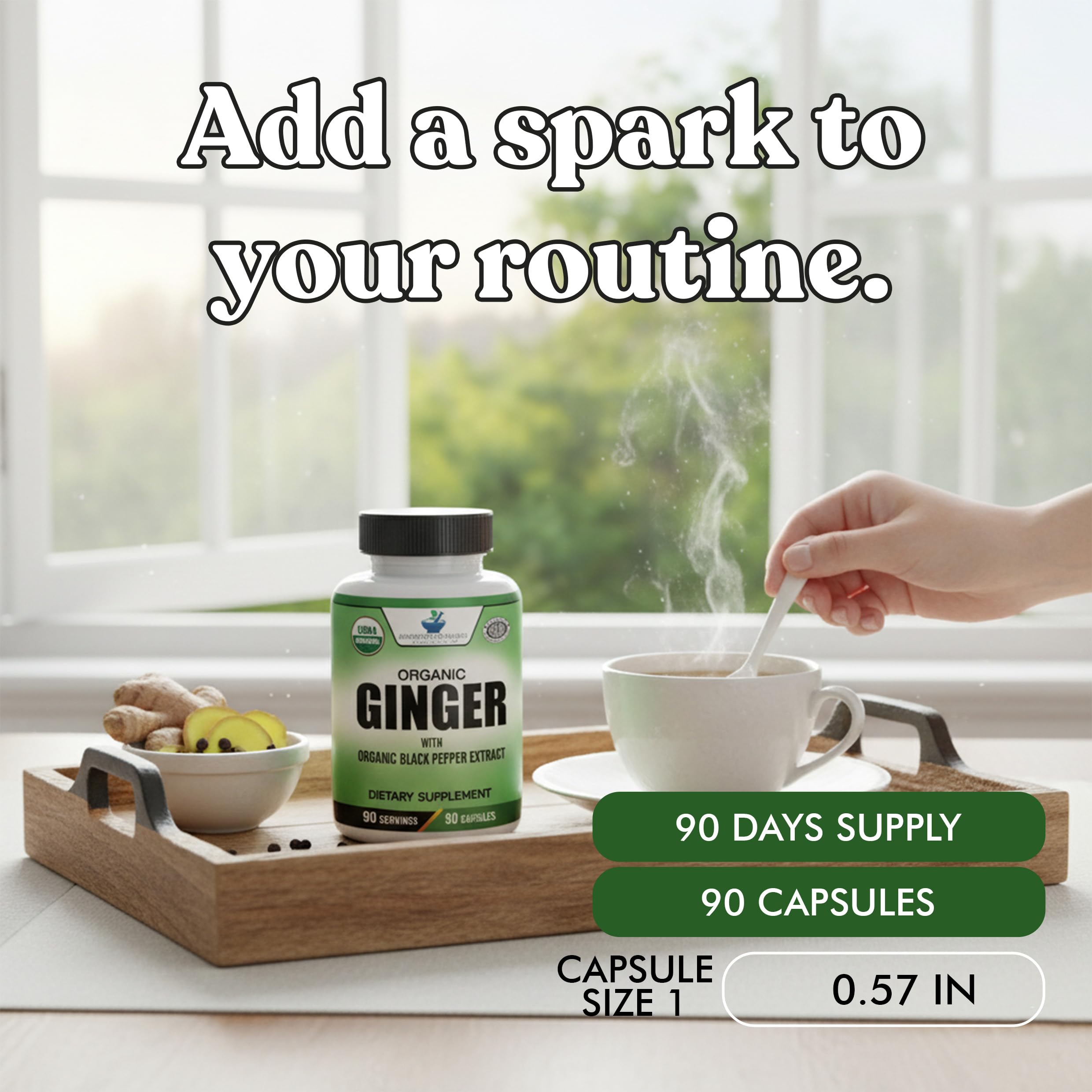 American Standard ginger supplement