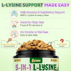 Amino acid supplement for cats
