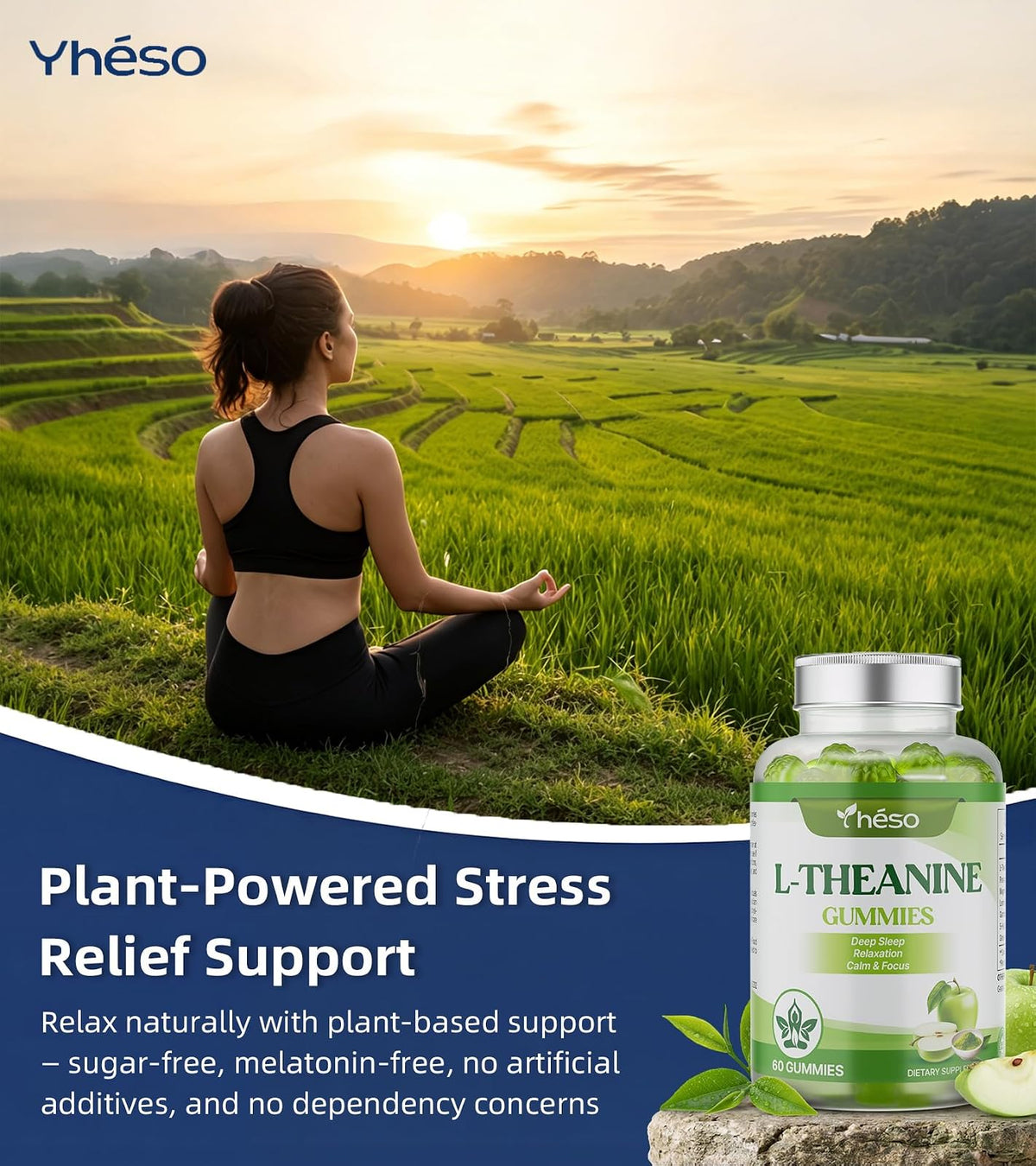 Amino acid support for anxiety