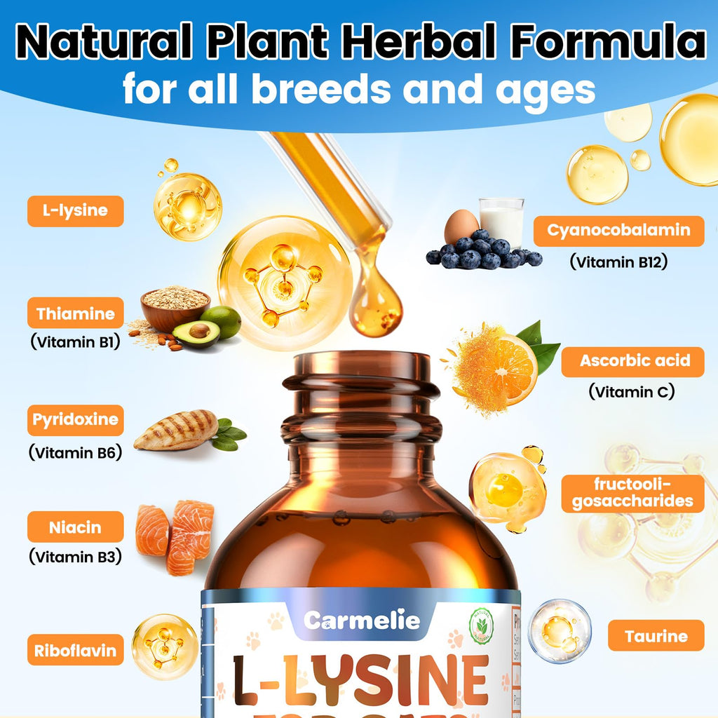 Amino acids for cats with L-Lysine