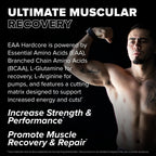 Amino acids for enhanced endurance