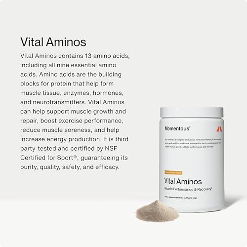 Amino acids for enhanced performance