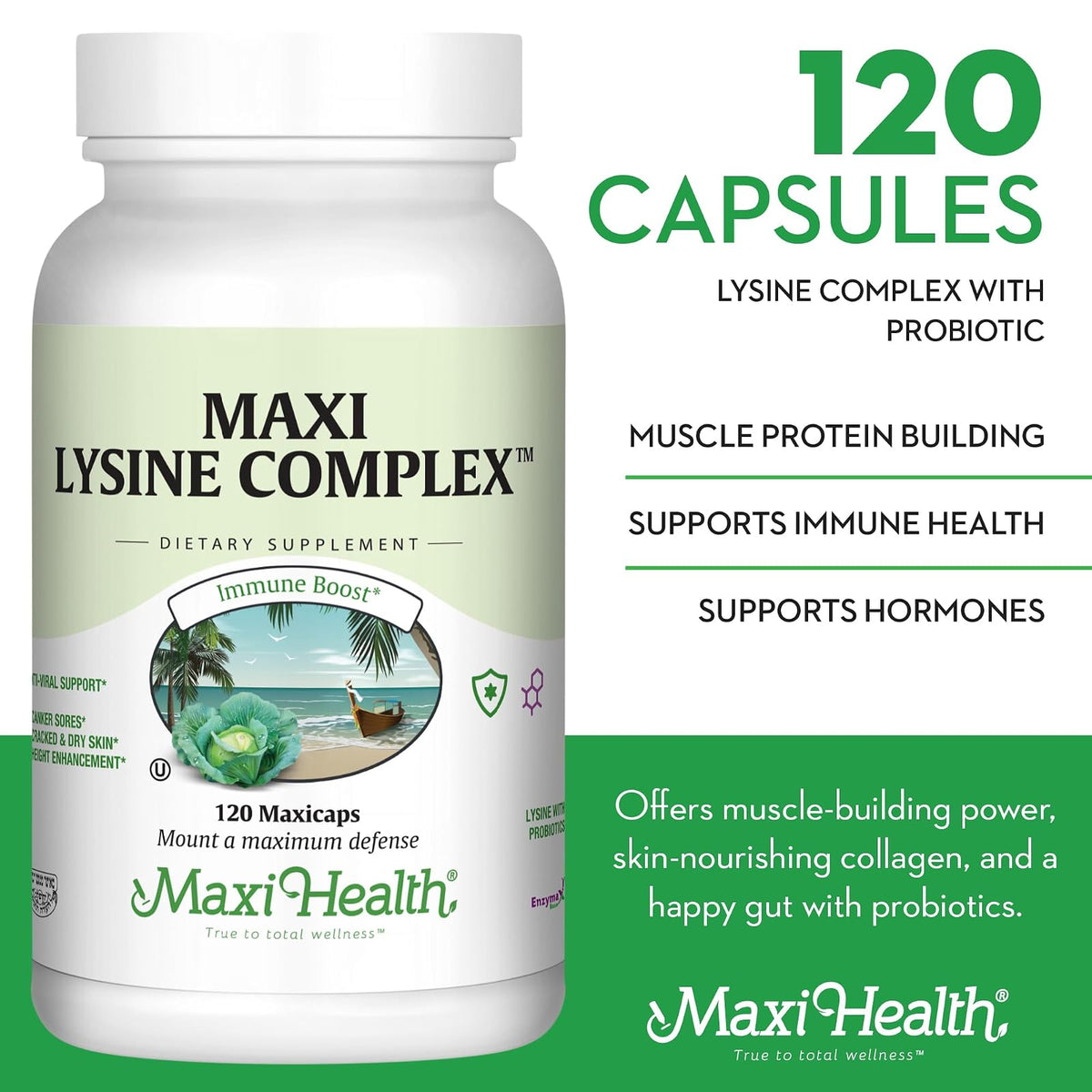 Amino acids for immune support