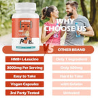 Amino acids for post-workout recovery