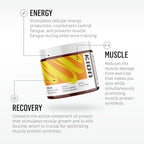 Amino acids for workout performance