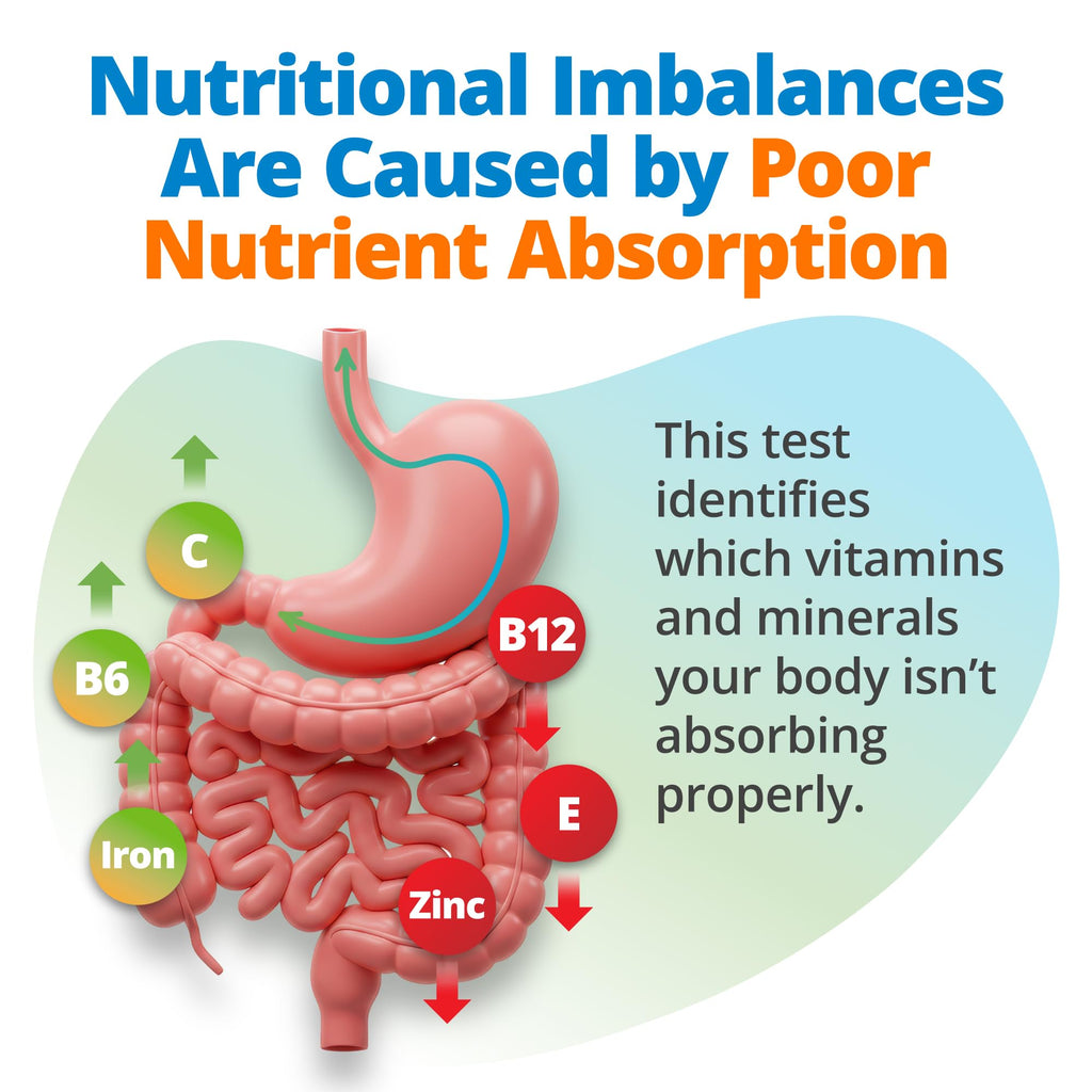 Amino acids testing for wellness