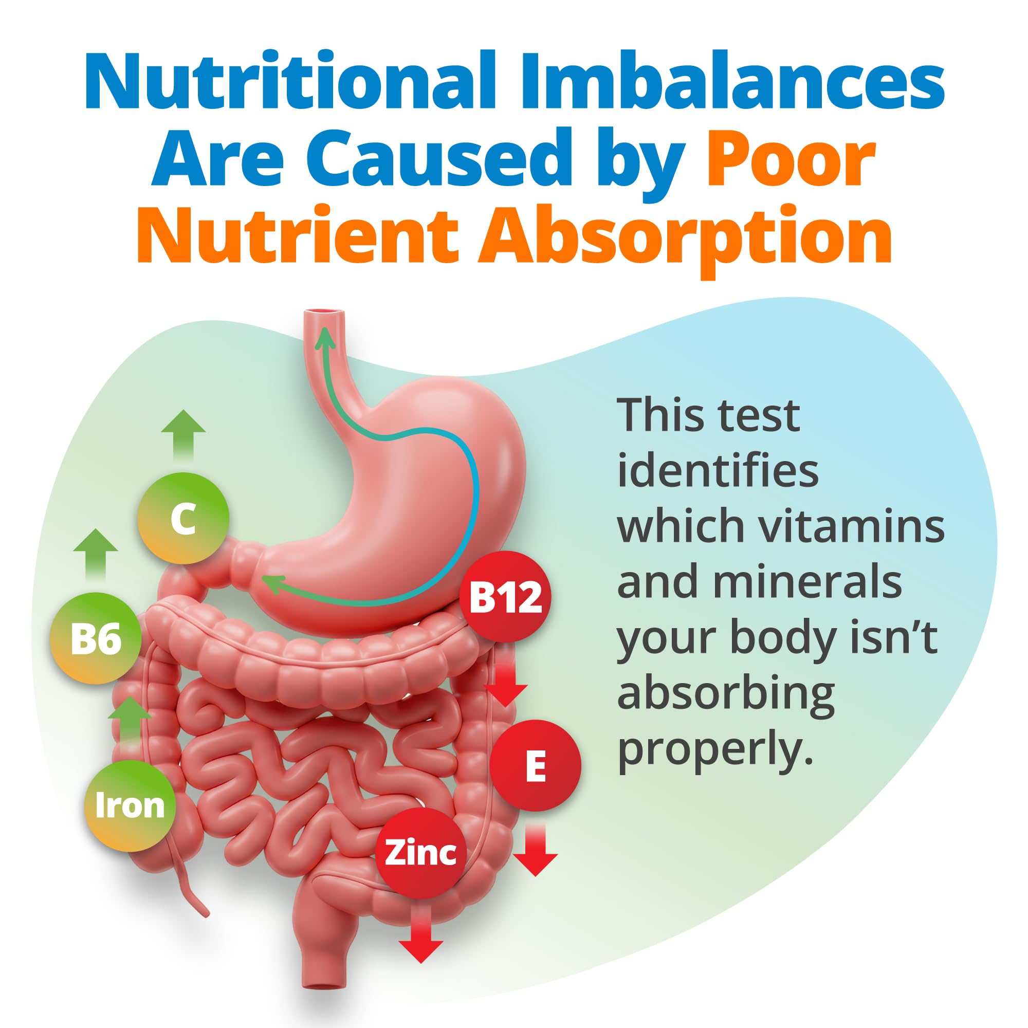 Amino acids testing for wellness