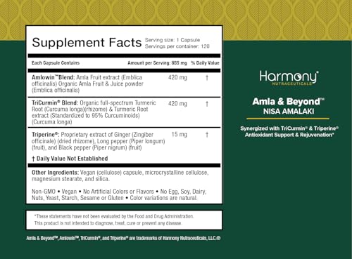 Amla and turmeric blend benefits