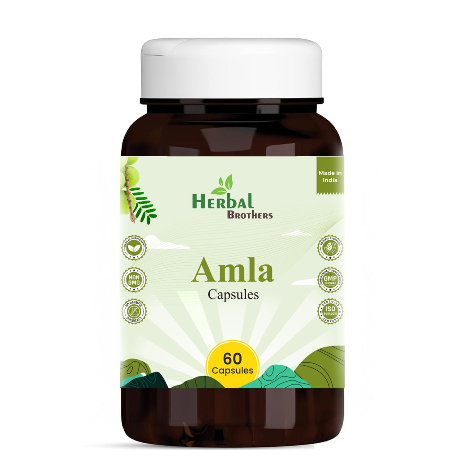 Amla capsules rich in vitamin C