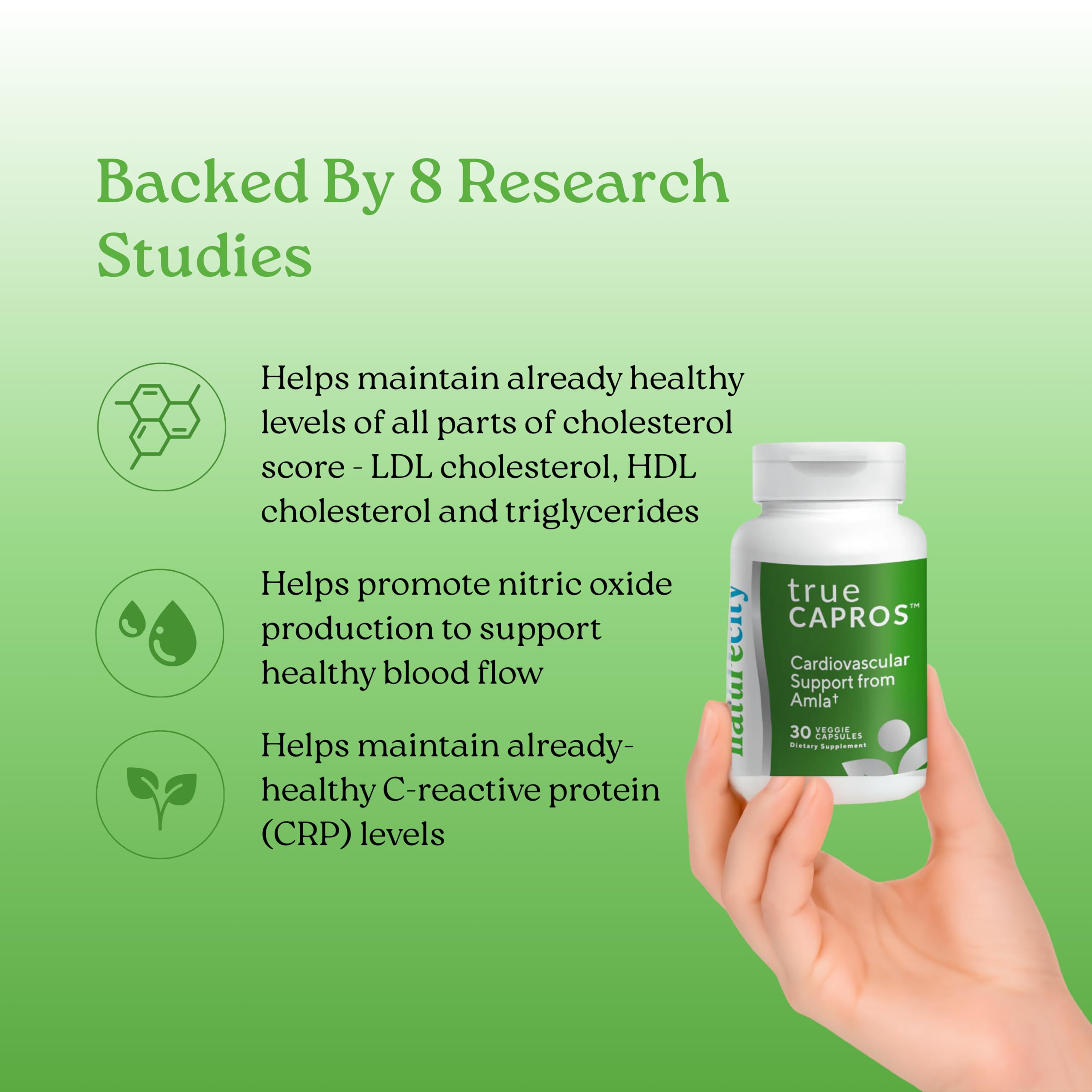 Amla extract for daily wellness