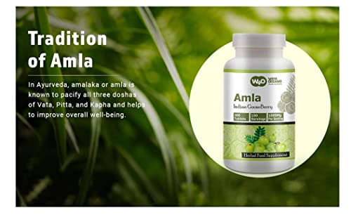 Amla fruit extract for energy