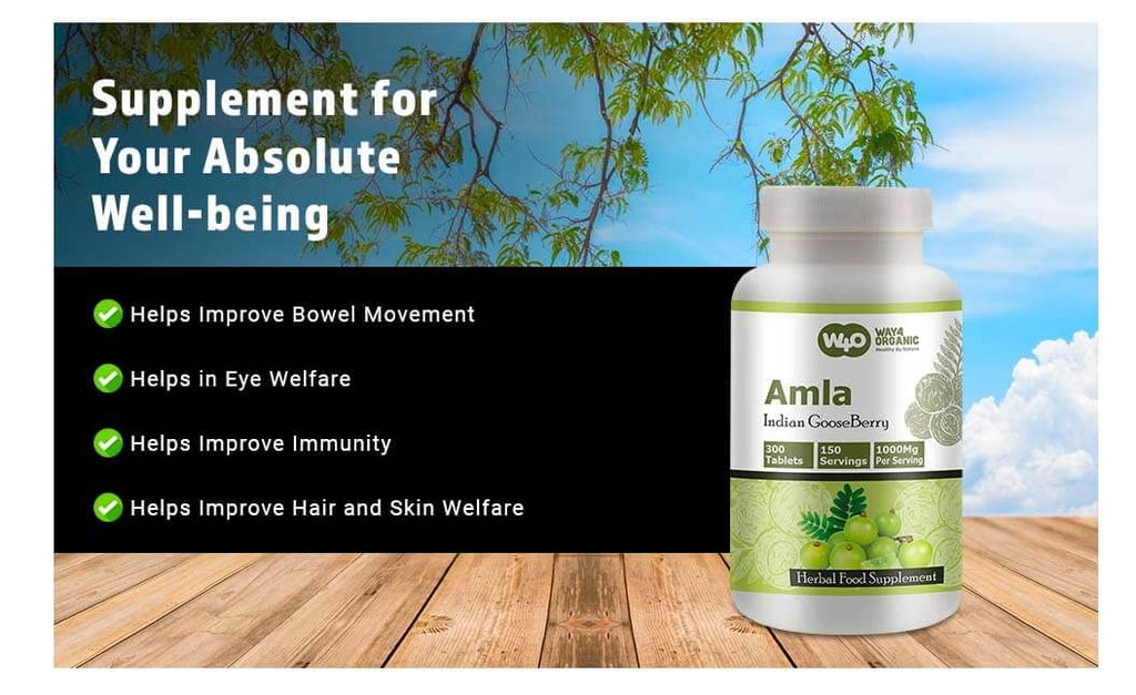 Amla fruit extract for skin health