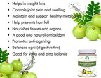 Amla powder for digestive health