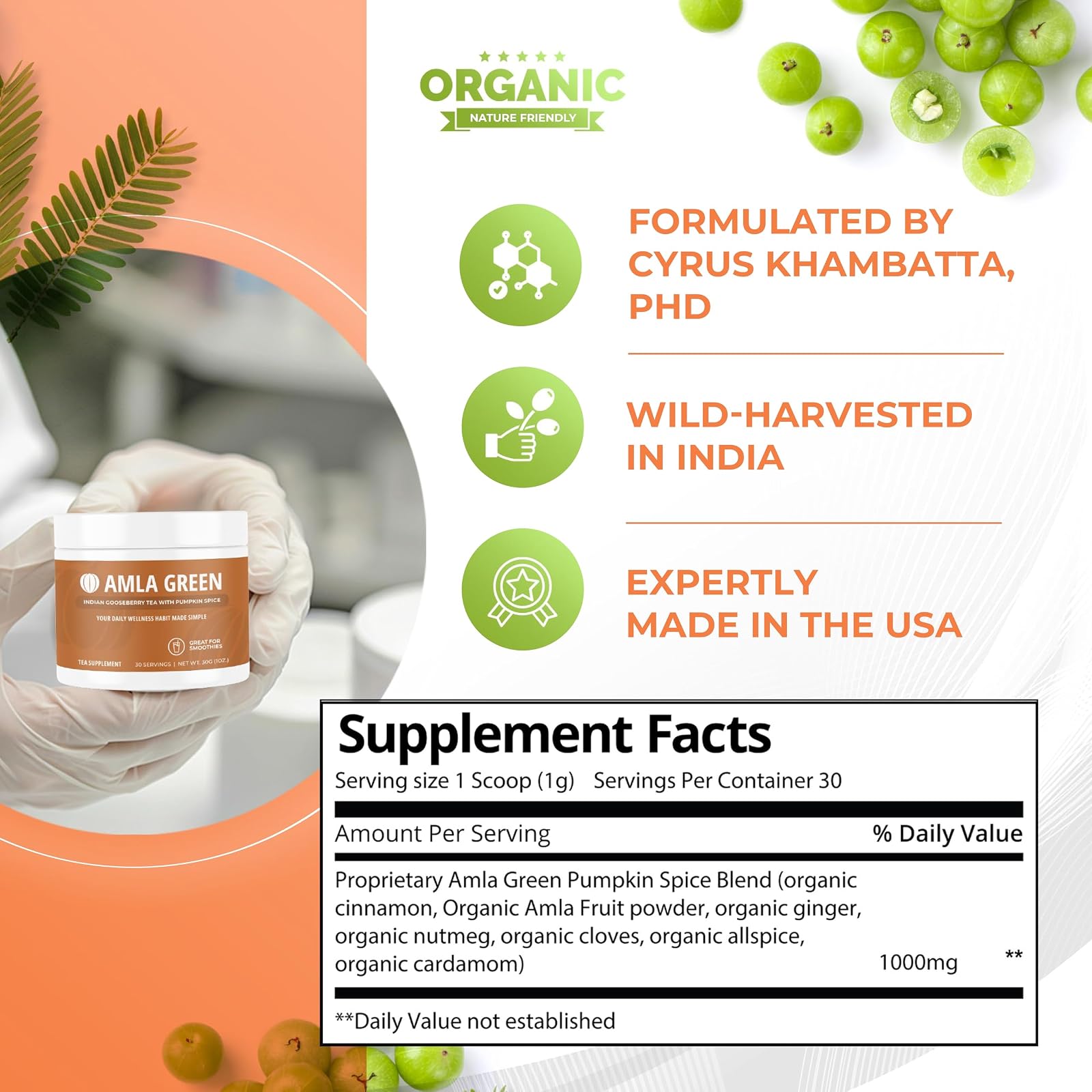 Amla powder for healthy digestion