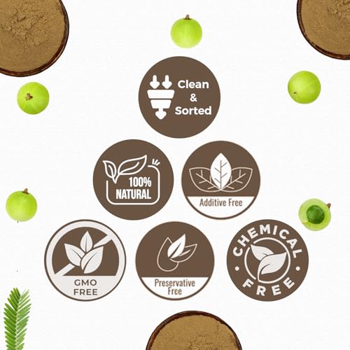 Amla powder for immune support