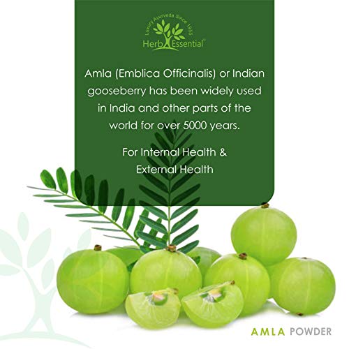 amla powder for immune system boost