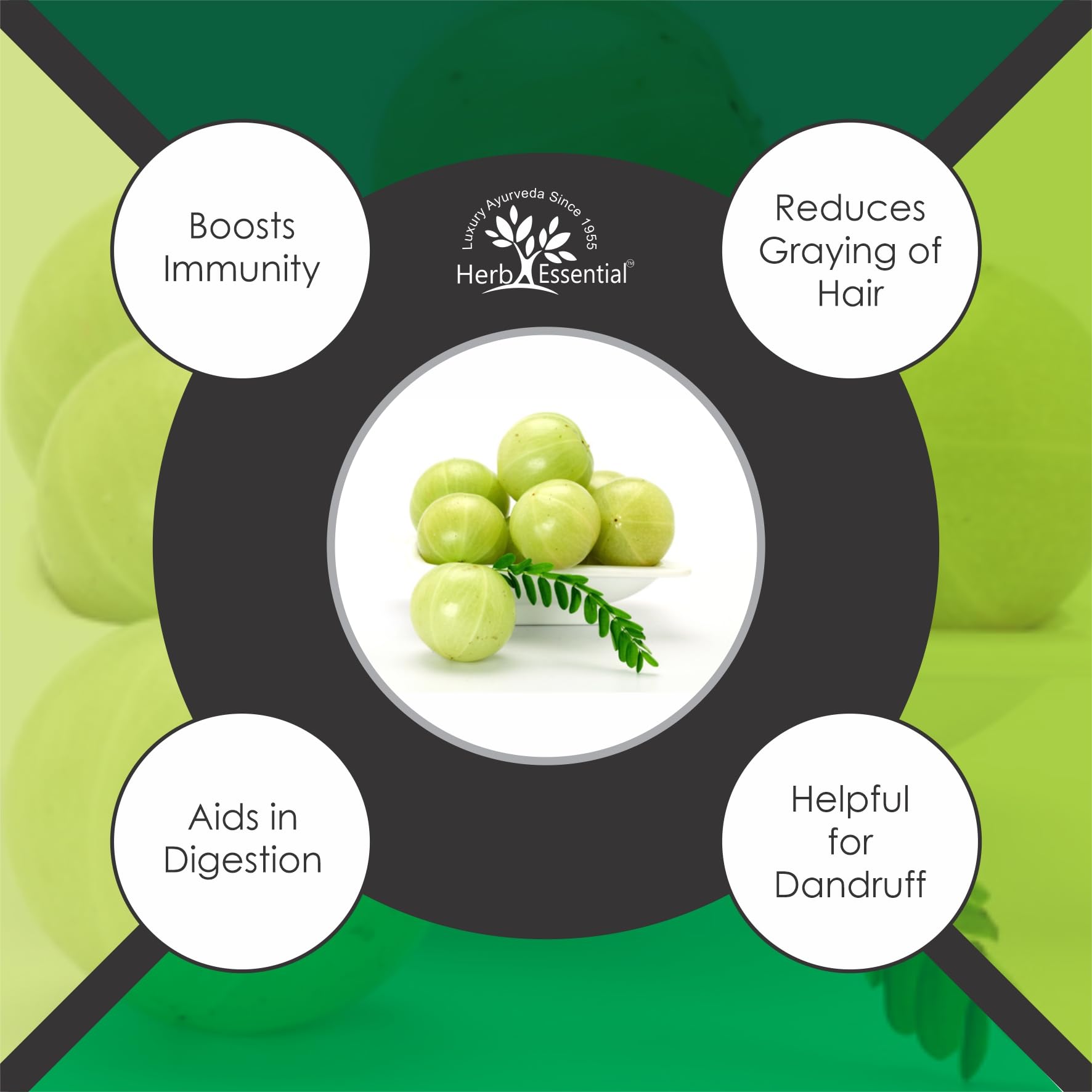 Amla powder for skin health