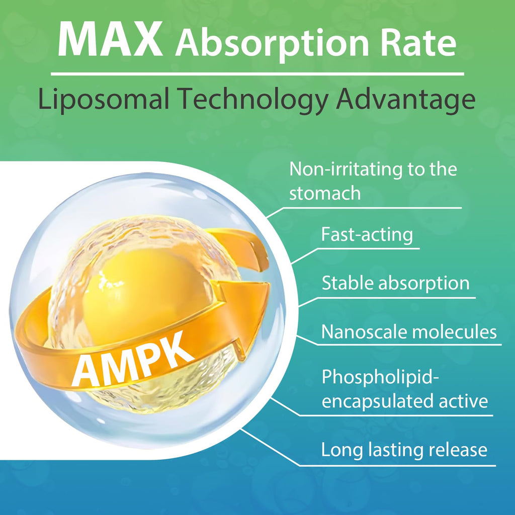 AMPK Activator milk thistle benefits