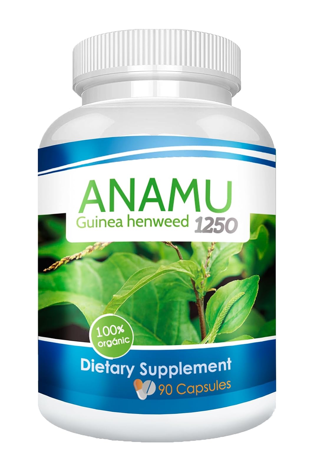 Anamu 1250 mg for immune support